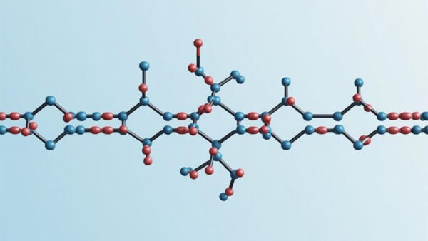What Is The Silicone Chemical Formula? | Ruiyang Silicone